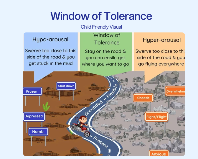 Window of Tolerance (Visual) | Care Solace