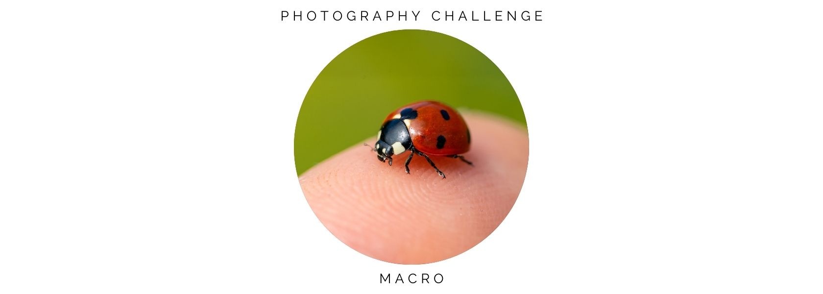 Photography & Friends community | Photography & Friends
