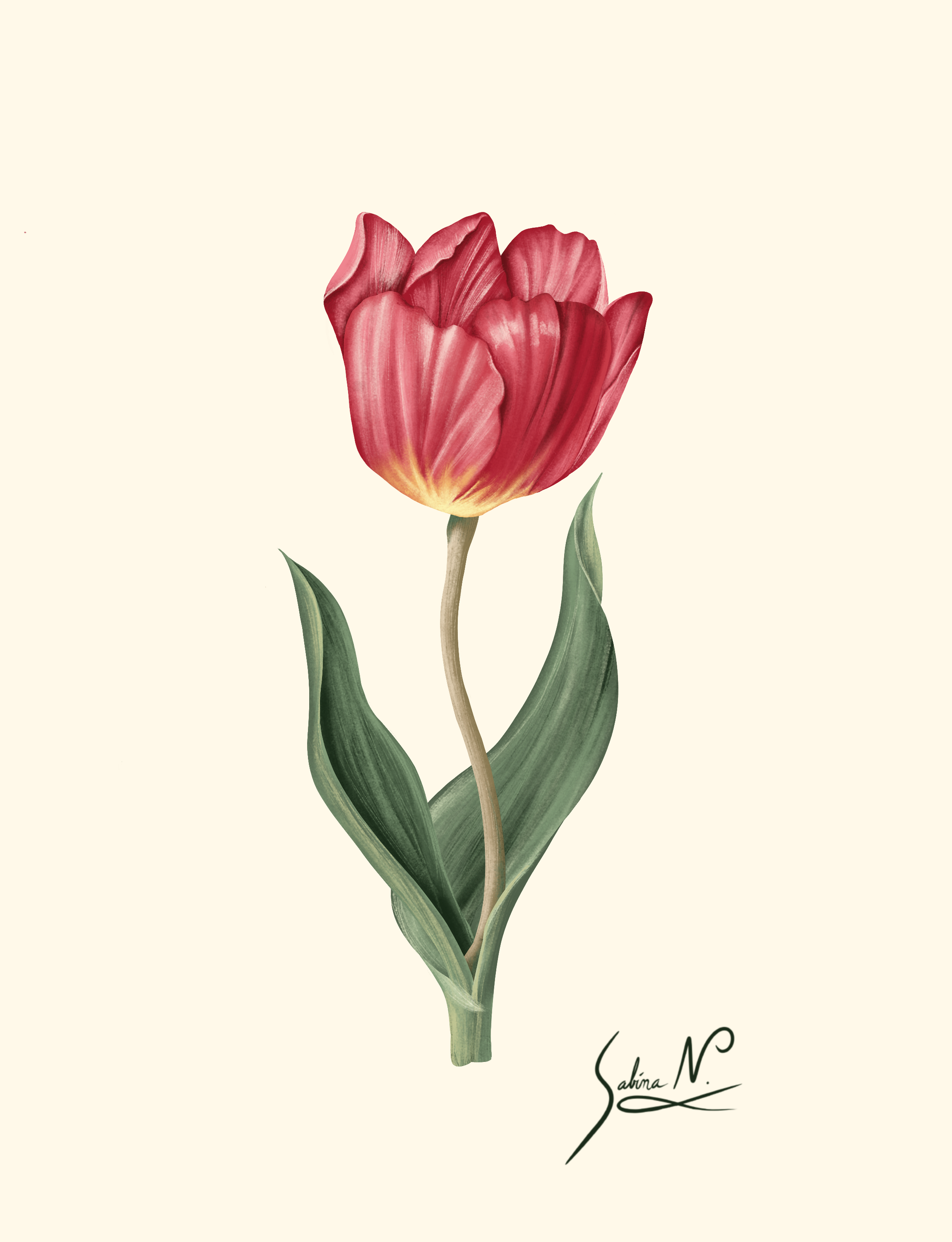 Tulip Tutorial 🌷 | Flo Community