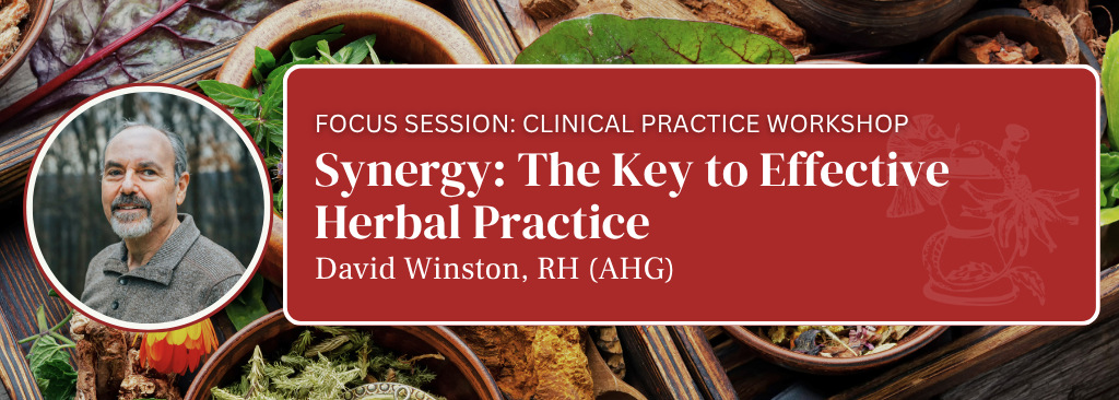 Synergy: The Key to Effective Herbal Practice with David Winston RH ...