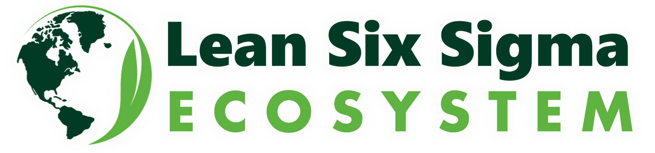 Lean Six Sigma Ecosystem