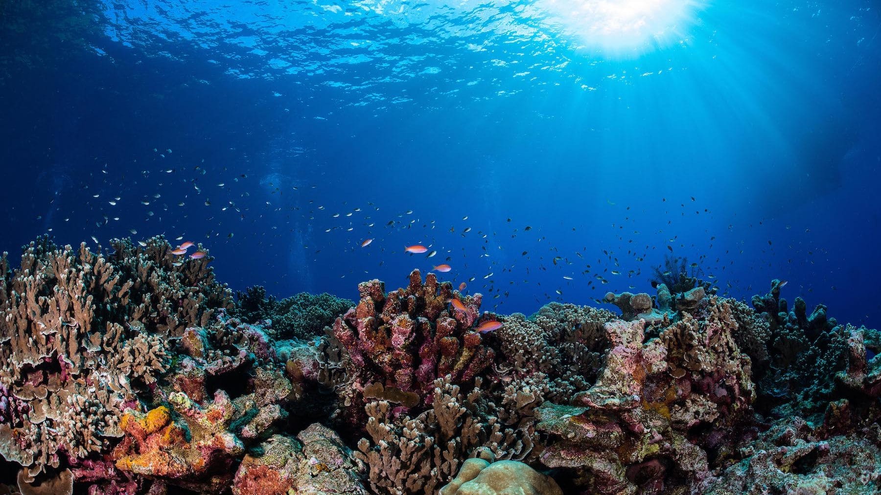 North Pacific Ocean basin: a Detailed Map | Ocean Literacy UNESCO-IOC