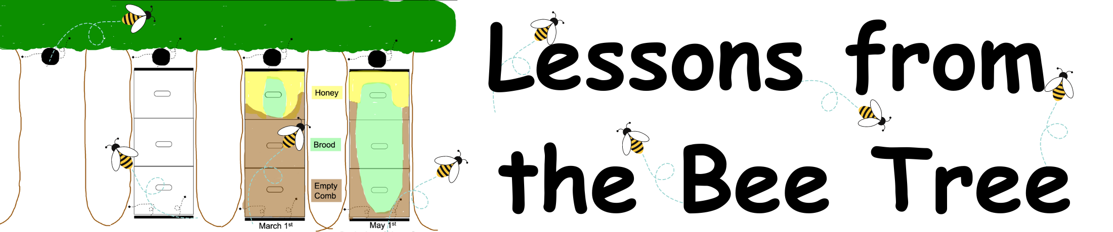 Lessons from the Bee Tree