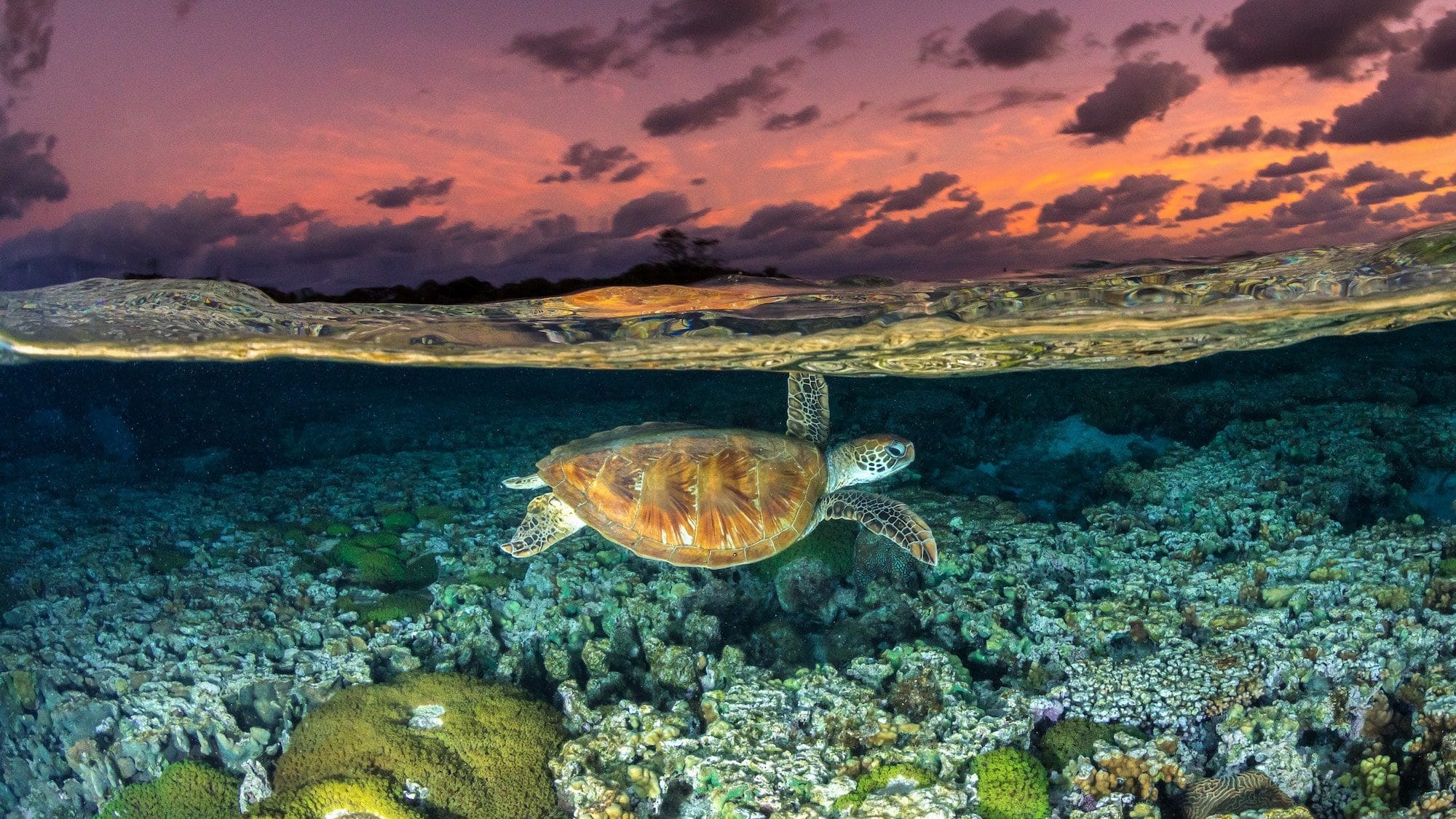 The List of the Oceans with data and statistics about surface area ...