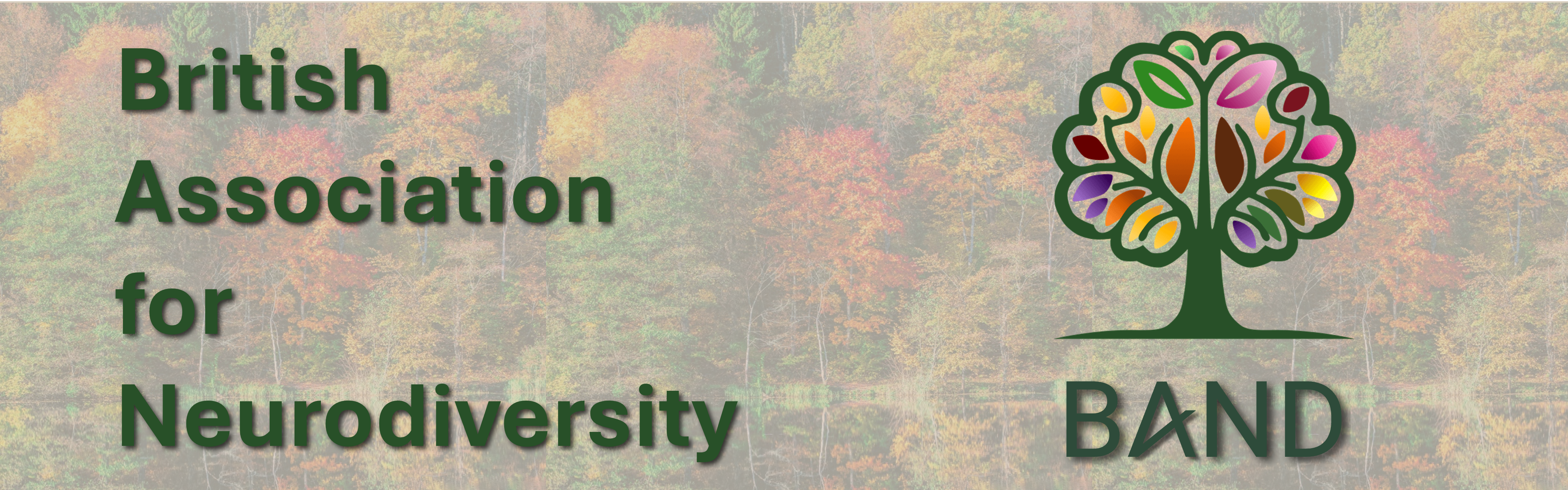 Welcome to B4ND | B4ND