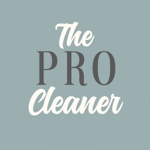 The Professional Cleaner