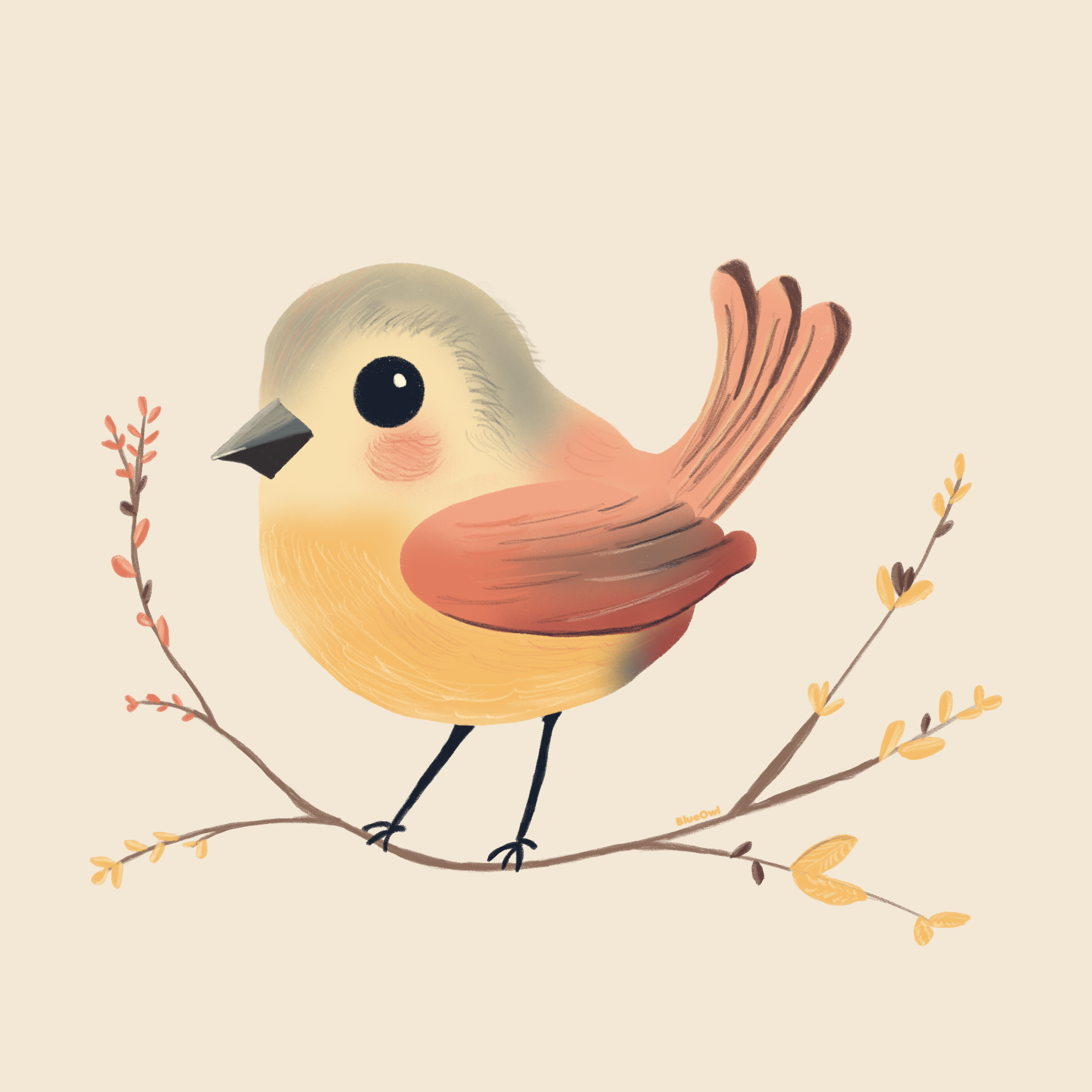 Bird Tutorial | Flo Community