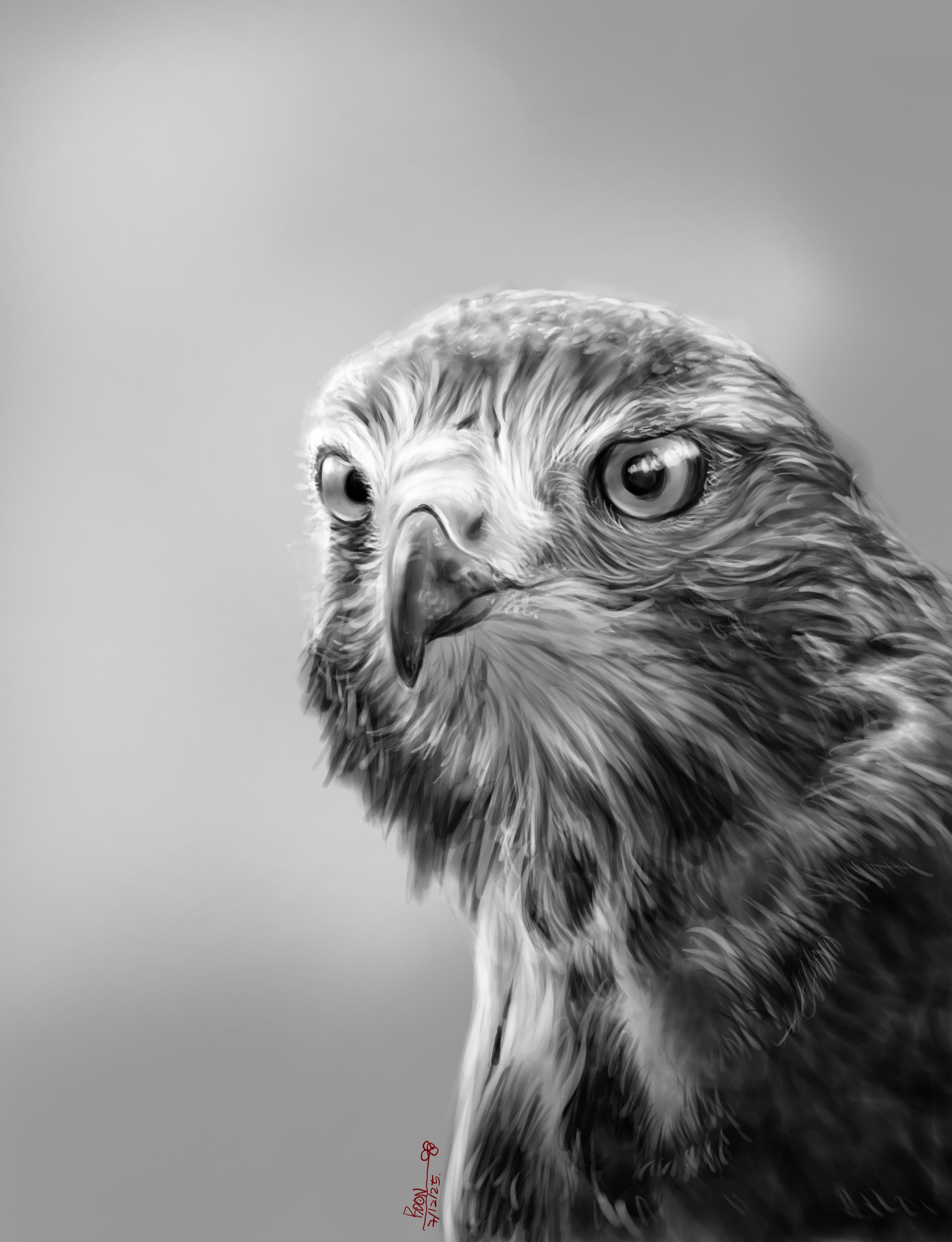 Realistic Hawk | Flo Community