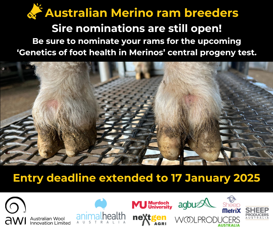 Sire nominations: 'Genetics of foot health in Merinos' central progeny ... Sire nominations: 'Genetics of foot health in Merinos' central progeny ...
