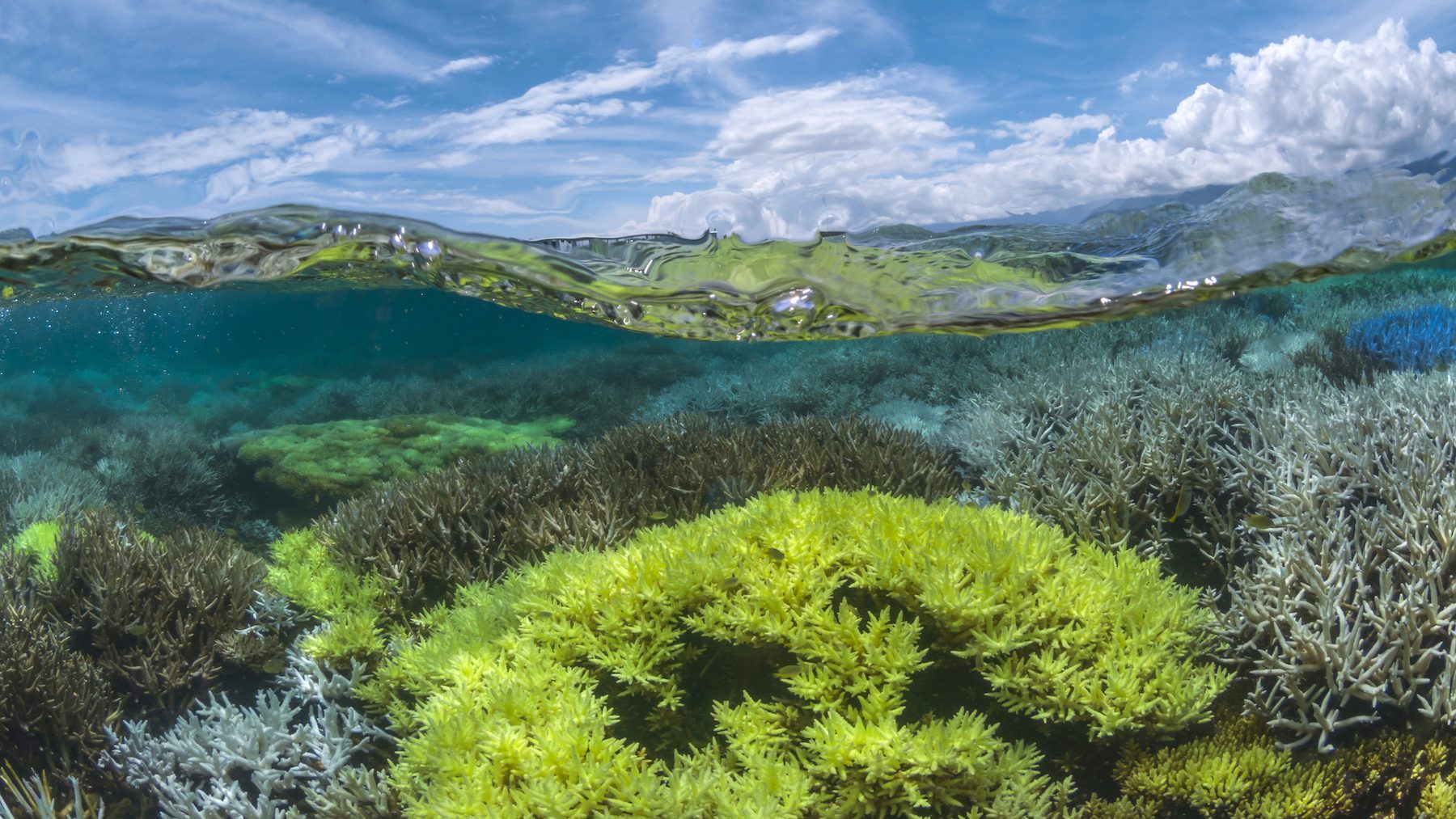 How does the ocean affect the climate? | Ocean Literacy UNESCO-IOC