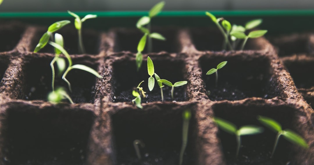 Seed Starting Challenge | Team Grow