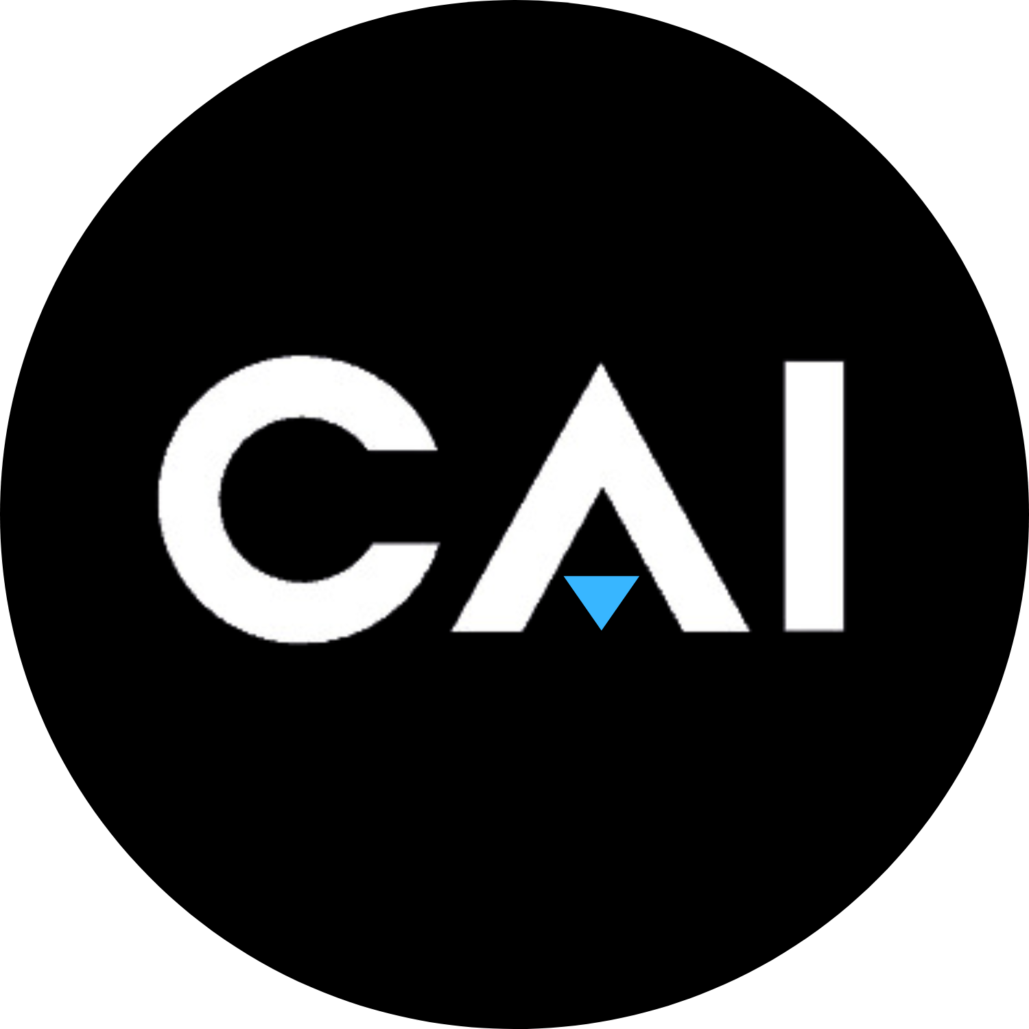 CAI Academy
